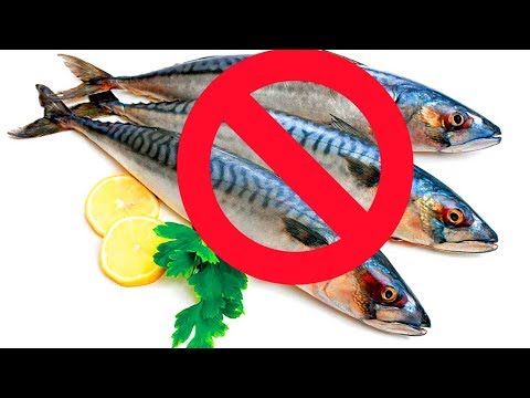 WHY DOCTORS DON'T RECOMMEND FISH