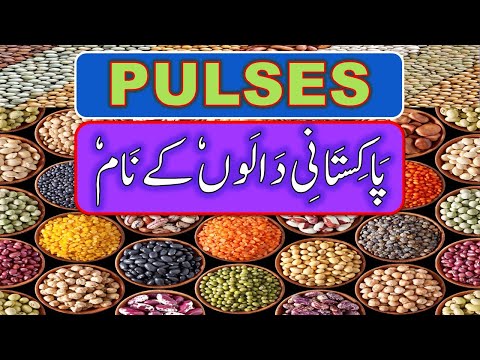 Pulses Name in Urdu & English, Dalain