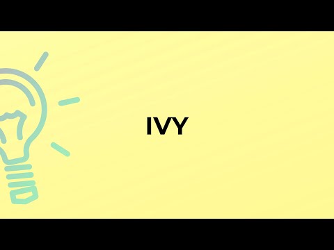 What is the meaning of the word IVY?