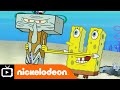 Patchy S Pick You Wish Spongebob Comparison Watch HD Mp4 Video Download ...