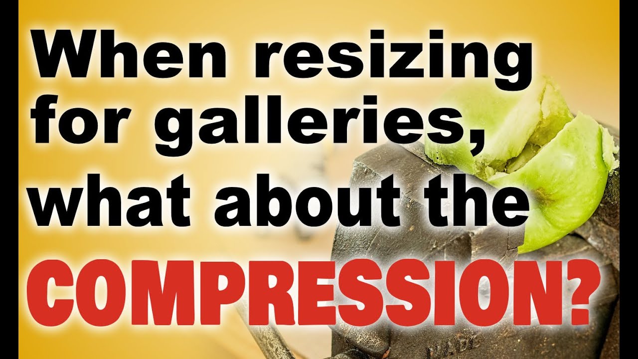 How to Resize and Compress Images for Online Galleries in PaintShop Pro