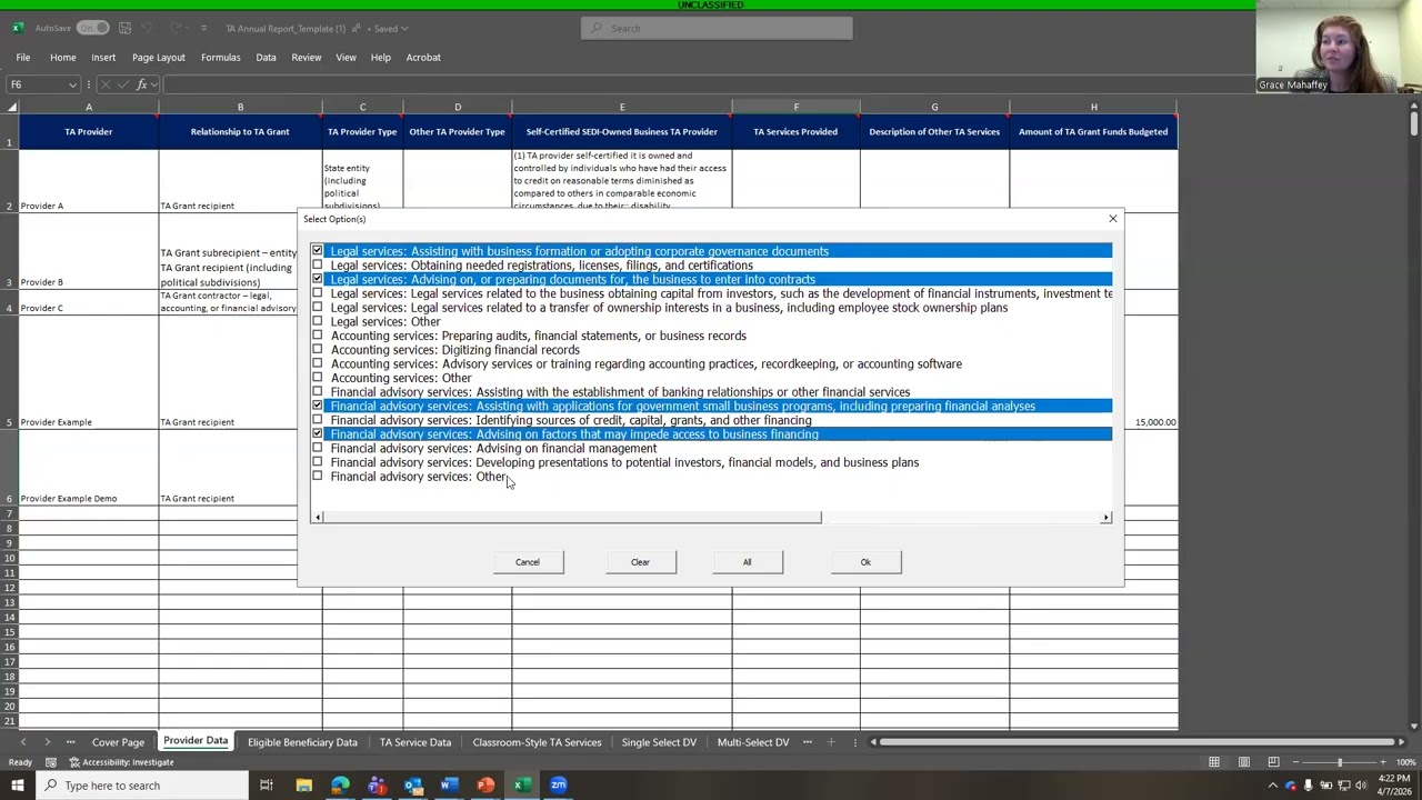 Technical Assistance Annual Report – Template Demonstration