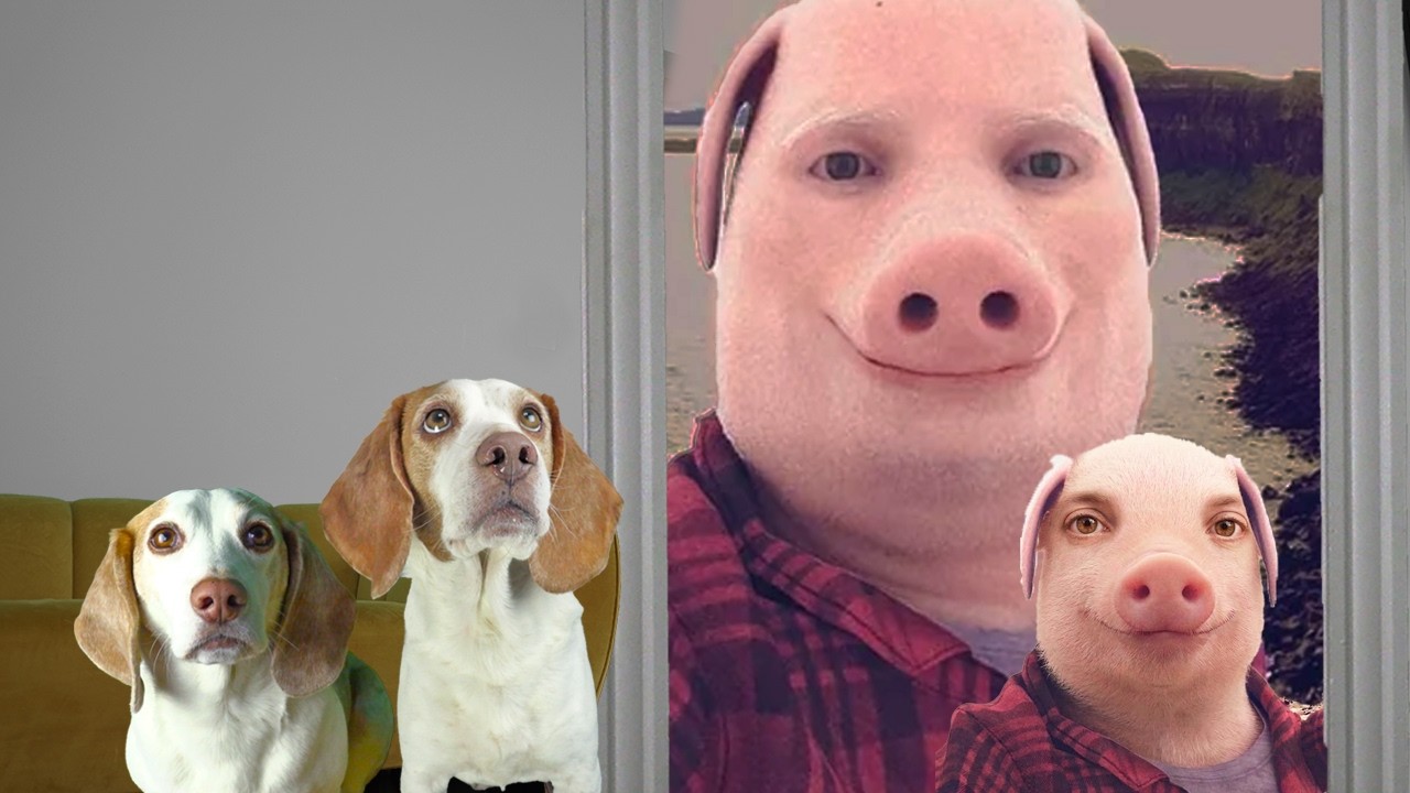 Dogs Find Out John Pork Has a Son