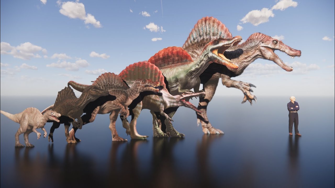 All Spinosaurus size comparison