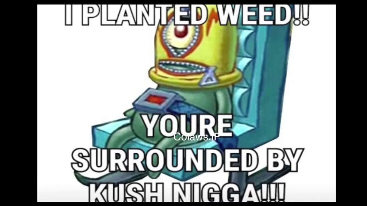 PLANKTON PLANTED WEED (Original)
