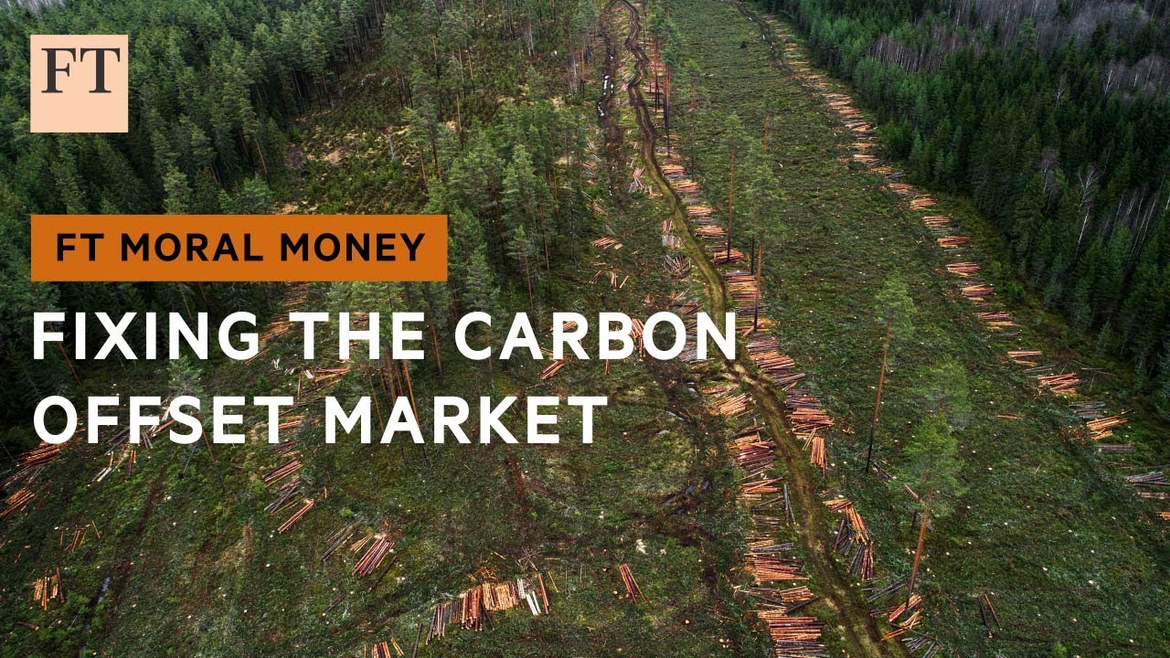 Scrutiny of the carbon offset market is growing | FT Moral Money