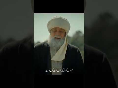 Understanding the Quran: English Translation for Insight #quran#foryou#viral video#urduwhatsappsta