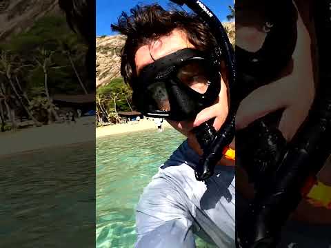 Is Hanauma Bay worth it on Oahu? Here is what to know #hawaii #honolulu #hanaumabay