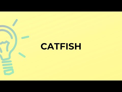 What is the meaning of the word CATFISH?