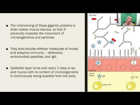 Preventing Infection at Mucosal surfaces - Part 1 (2023 Update)