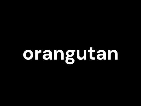 How to Pronounce orangutan