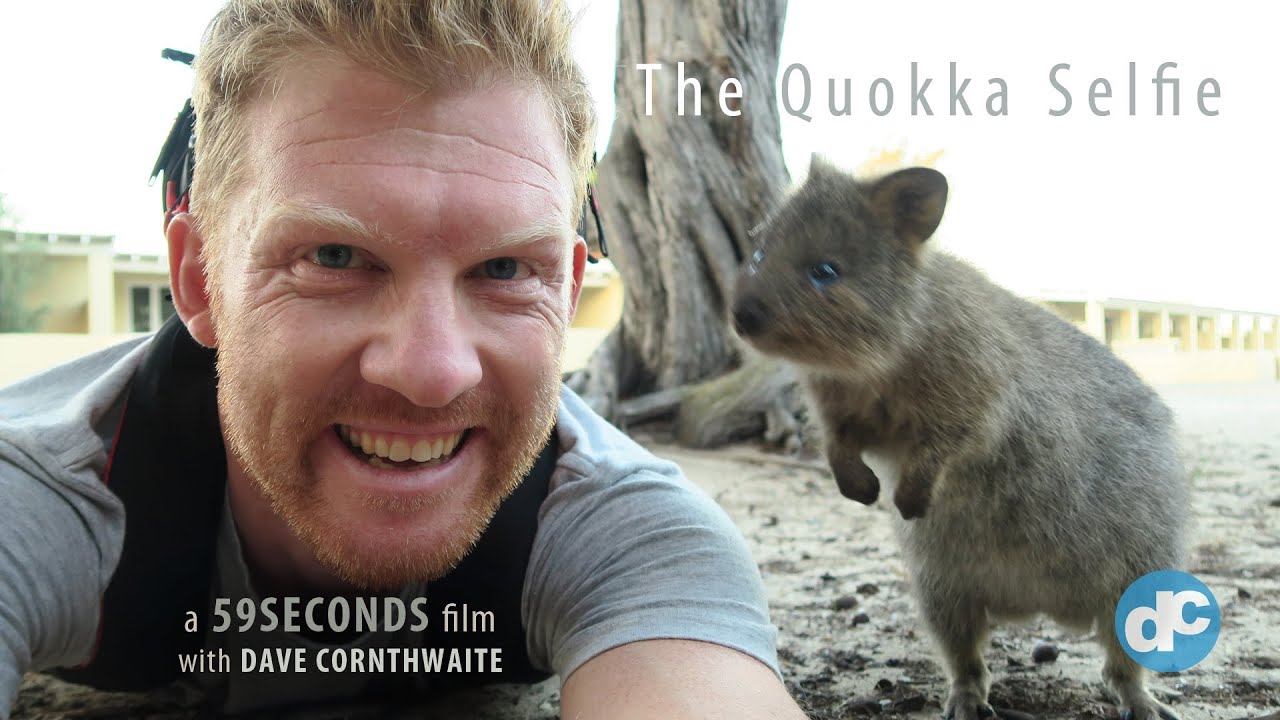 59 Seconds: The Quokka Selfie