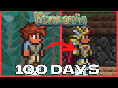 I spent 100 days in ONE BLOCK TERRARIA...