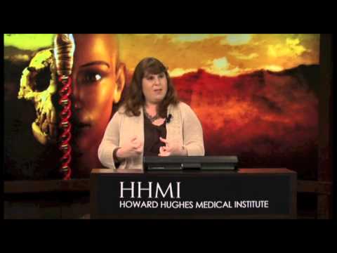 Genetics of Human Origins and Adaptation