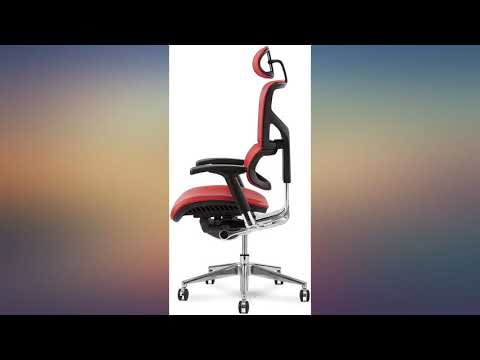 X Chair Office Desk Chair (X4 Red Leather) Ergonomic Lumbar Support Task Chair review