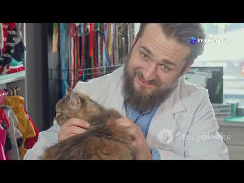 Does Your Cats Has a Nickname At Home? | Cat Lovers