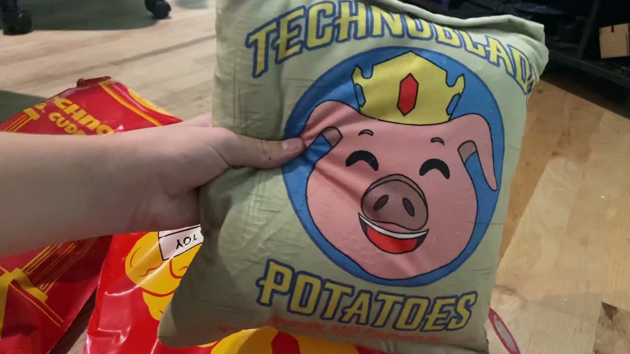I unboxed a Technoblade YouTooz…