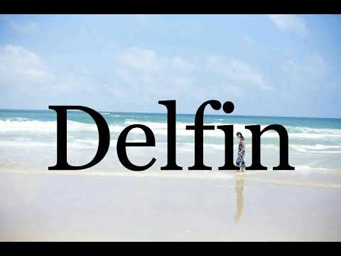 How To Pronounce Delfin🌈🌈🌈🌈🌈🌈Pronunciation Of Delfin