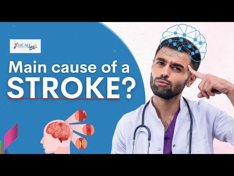 Cause of Stroke | Main Cause of Stroke | Stroke