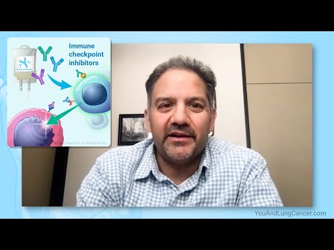 What immunotherapy treatments are used for small cell lung cancer (SCLC)?