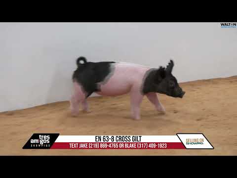EN 63 8 Tres March 18 Sale