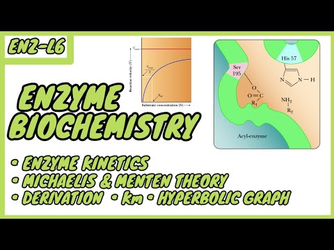 Enzyme kinetics | Michaelis & Menten Concept | Enzyme Biochemistry | Enz-L6 | in Urdu/Hindi