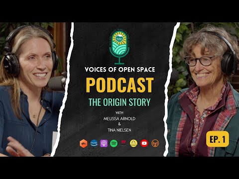 The Origin Story