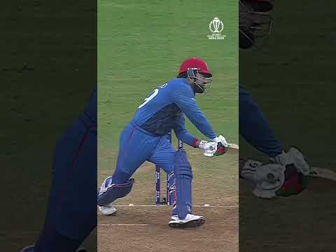 Rashid Khan can do it all ???????? #cricket #cwc23 #afghanistan