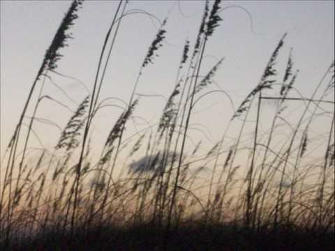 Zac Brown Band- Toes