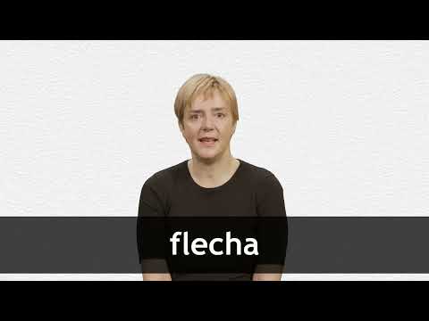 English Translation of “FLECHA” | Collins Spanish-English Dictionary