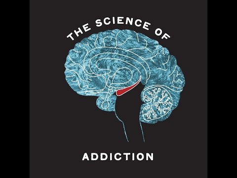 The Science of Addiction