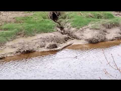 Neath Estuary river Grazing Marsh