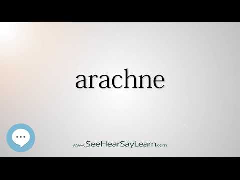 arachne (Every English Word Pronounced) ๐๐๐ฃ๏ธ๐โ
