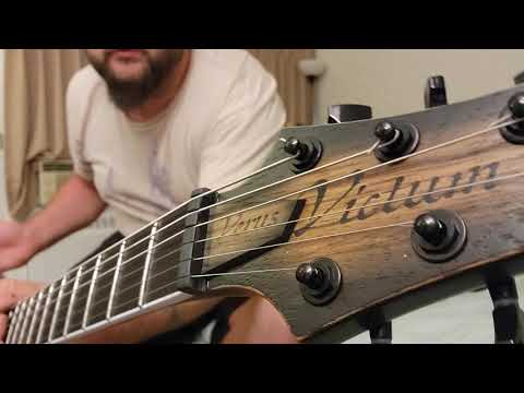 Victum Guitars Verus Zebra 2021 Natural, burst Custom USA | Reverb