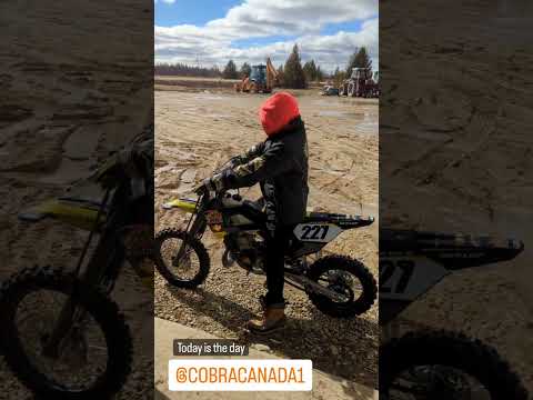 The best 65 on the market Cobra Cx65 #cobracolton #cobraminicyclescanada #viralshorts #dirtbike