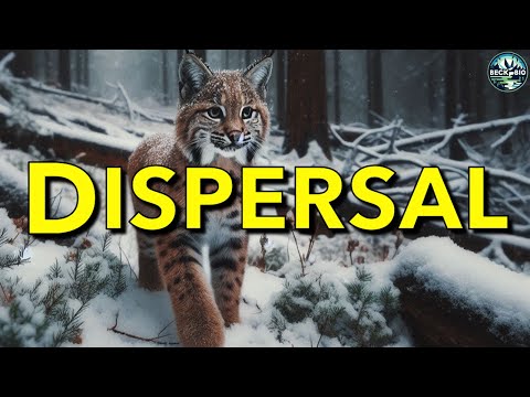 Dispersal
