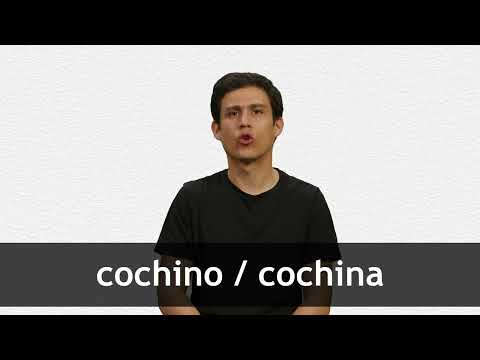 English Translation of “COCHINA” | Collins Spanish-English Dictionary