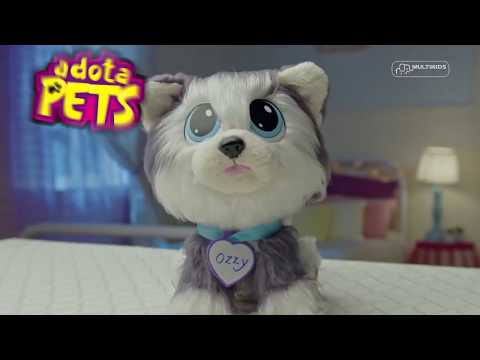 Adota Pets Lulu Cachorro Pelúcia Infantil Multikids Br1066 ...