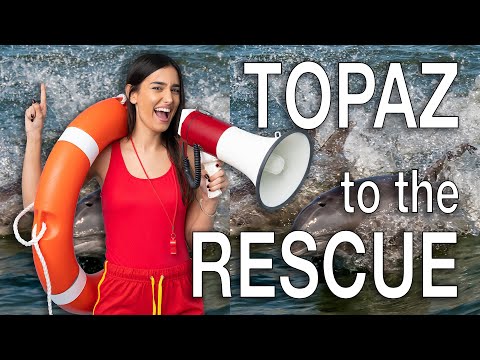 Rescuing Another BAD Photo Using Gigapixel AI & Sharpen AI