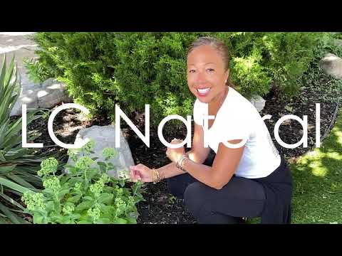 LC NATURAL PROMO VIDEO