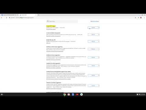 How to fix many Grapichal Issues in Linux Apps - Crostini on a Chromebook