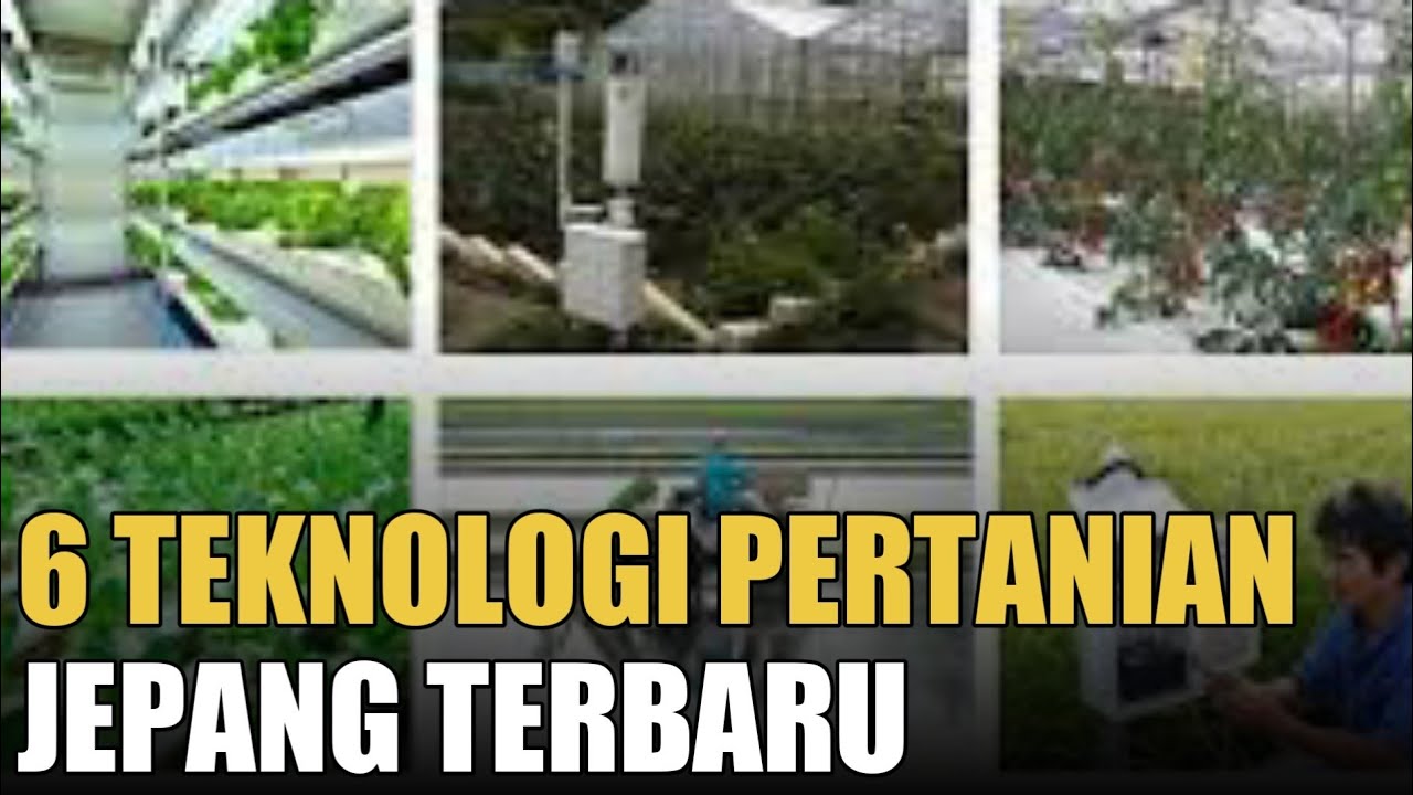 6 TEKNOLOGI PERTANIAN JEPANG
