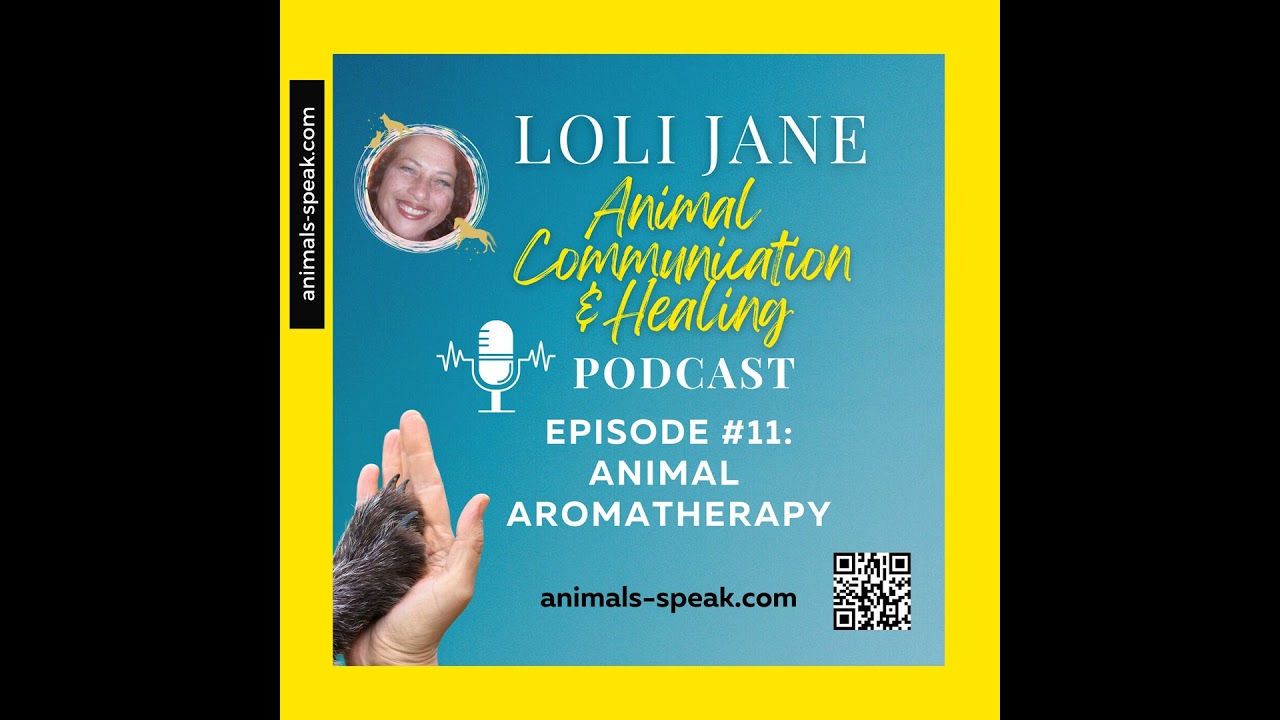 Episode #11: Animal Aromatherapy