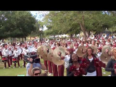 FSU Fight Song Live - FSU Marching Chiefs