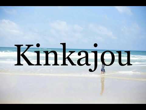 How To Pronounce Kinkajou🌈🌈🌈🌈🌈🌈Pronunciation Of Kinkajou
