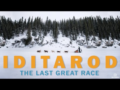 Iditarod Facts | CKC's Talkin' Dogs List Show