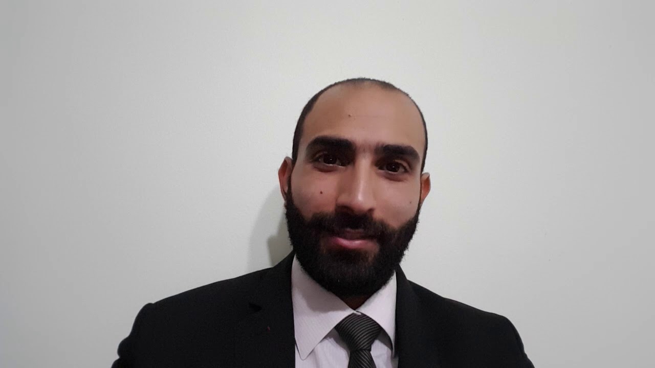 Arabic/English professional translator