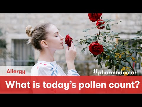 What is today's pollen count?