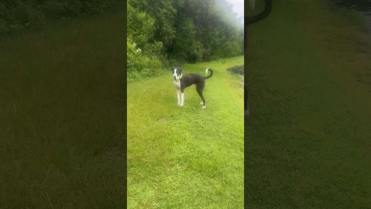 0AAB2650 8CC4 496F 9843 E78315A10477