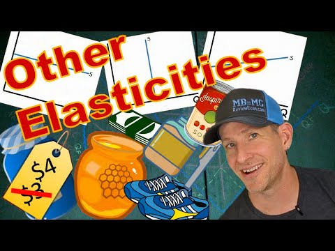 Micro 2.4/2.5 Other Elasticities